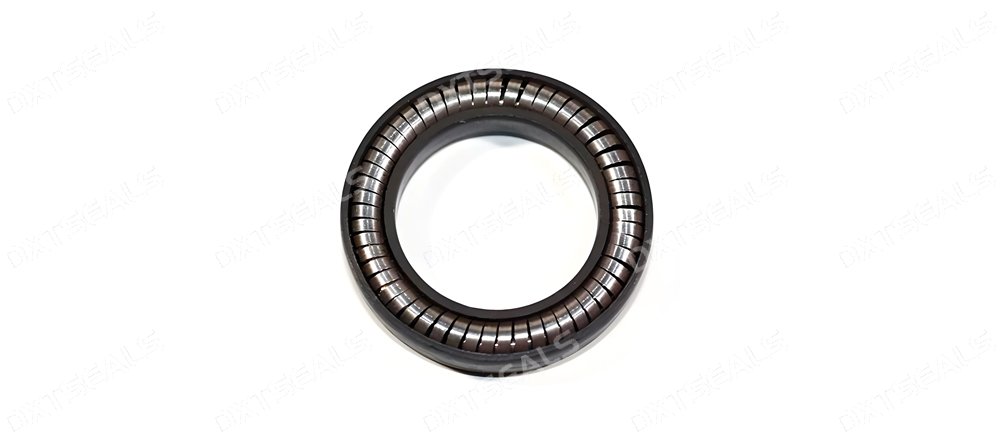 Bore vs Rod Spring-Energized Seals: Structure & Applications | DXTSEALS ...