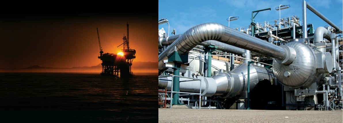 High-pressure RTJ gaskets including Oval, Octagonal, RX and BX types ...